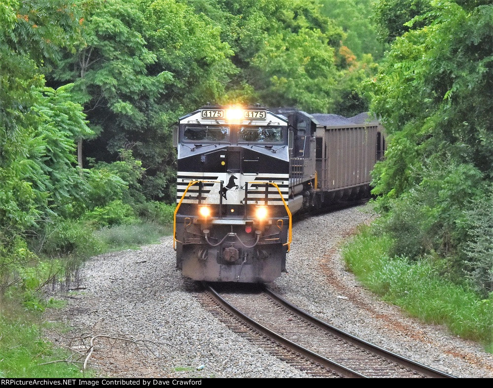 NS 4175